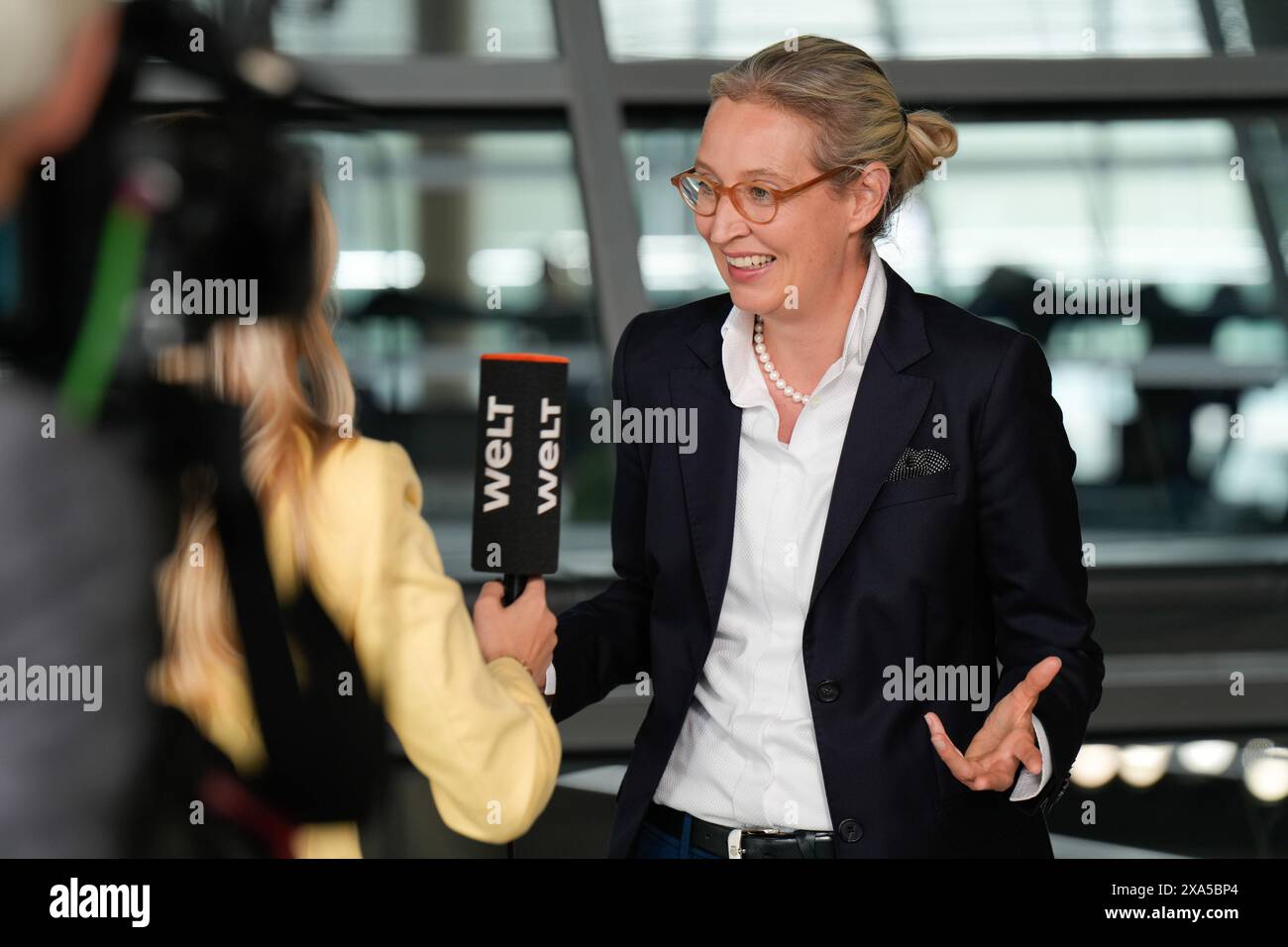 AfD-Bundestagsfraktion, Alice Weidel Vorsitzende der AfD ...