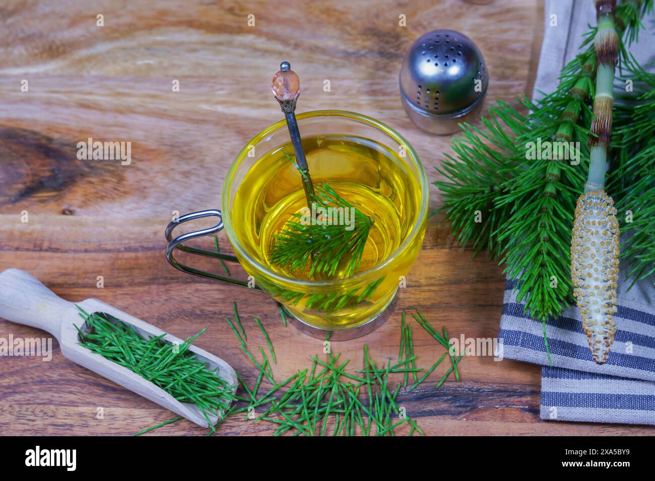 A top view of an infusion of medicinal plant, horsetail Equisetum ...