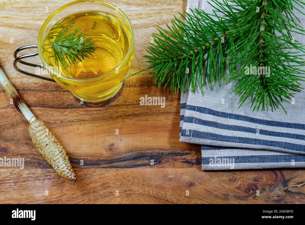 A top view of an infusion of medicinal plant, horsetail Equisetum ...