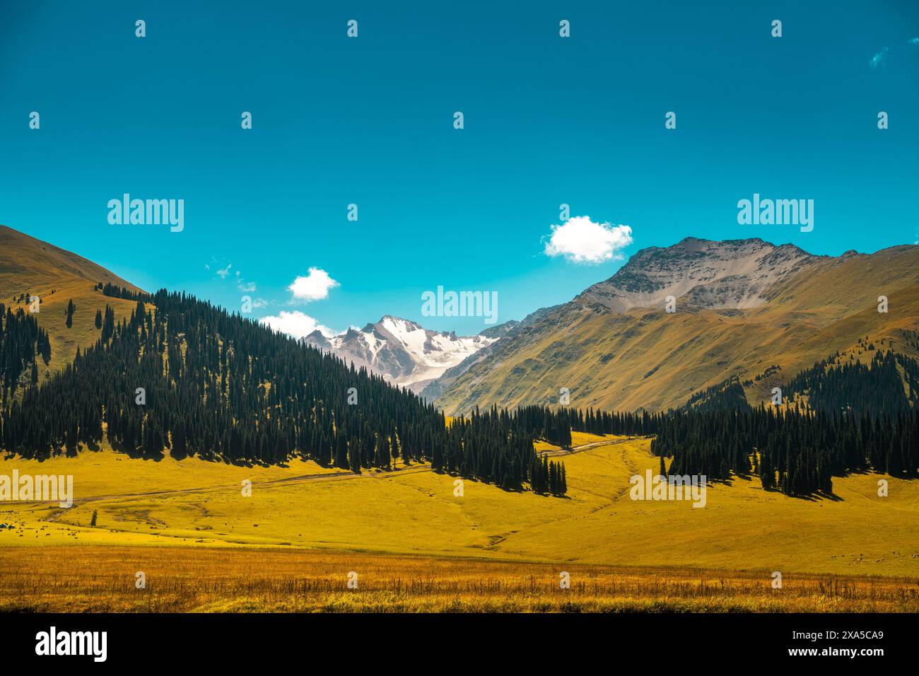 A scenic view of Nalati grassland in the hinterland of Tianshan ...