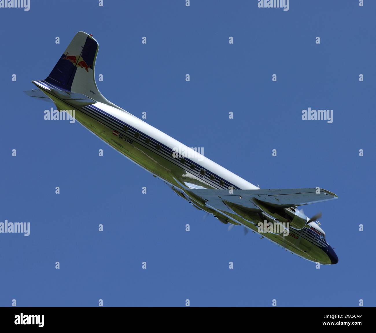 Flying bulls hi-res stock photography and images - Alamy