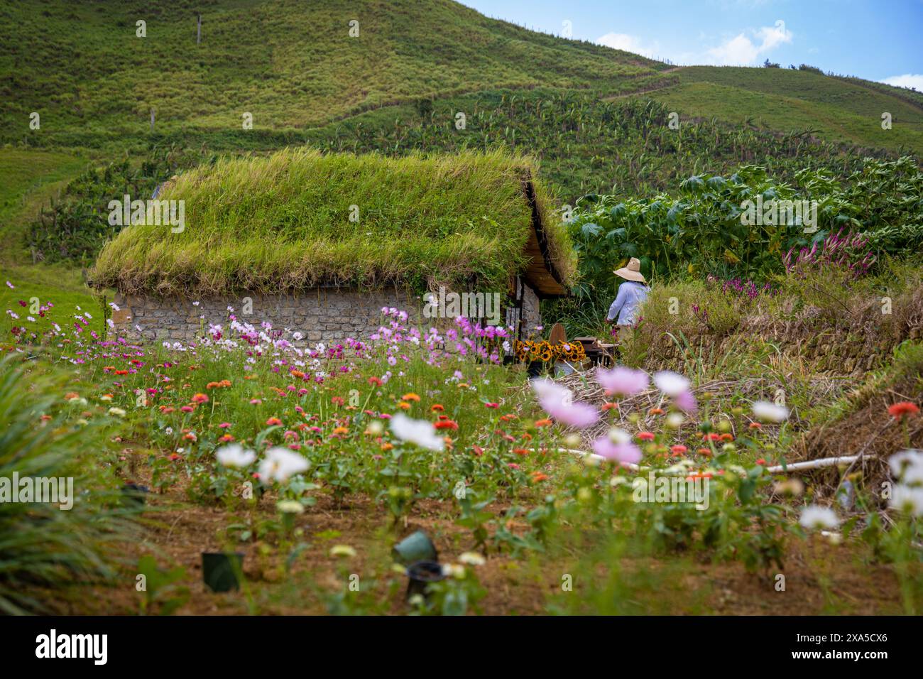 Shack in a field hi-res stock photography and images - Alamy