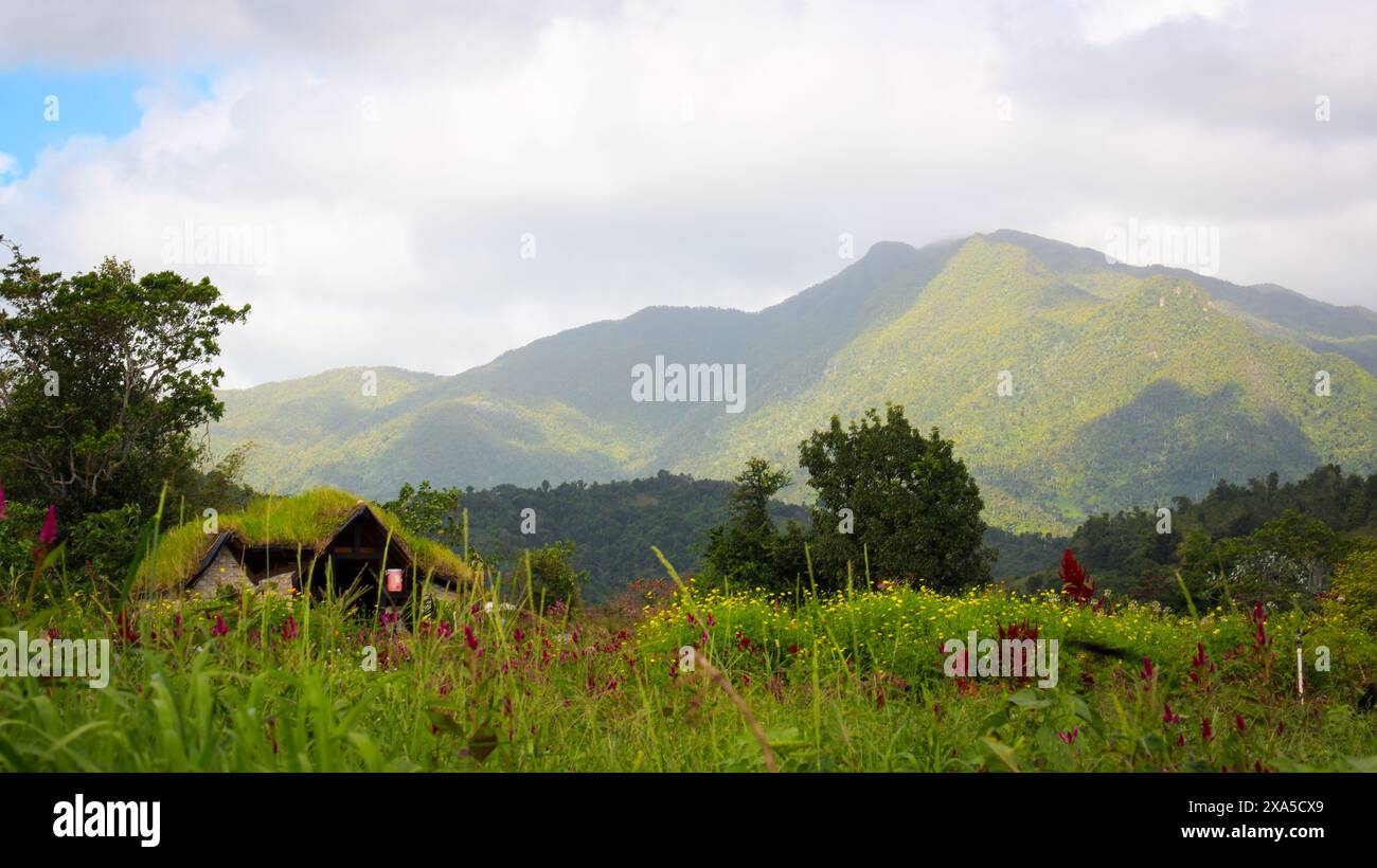 A scenic view of a shack in a flower field Stock Photo - Alamy