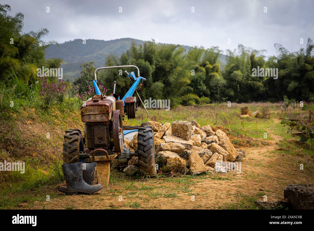 A front-end loader tractor in front of a stone wall Stock Photo - Alamy
