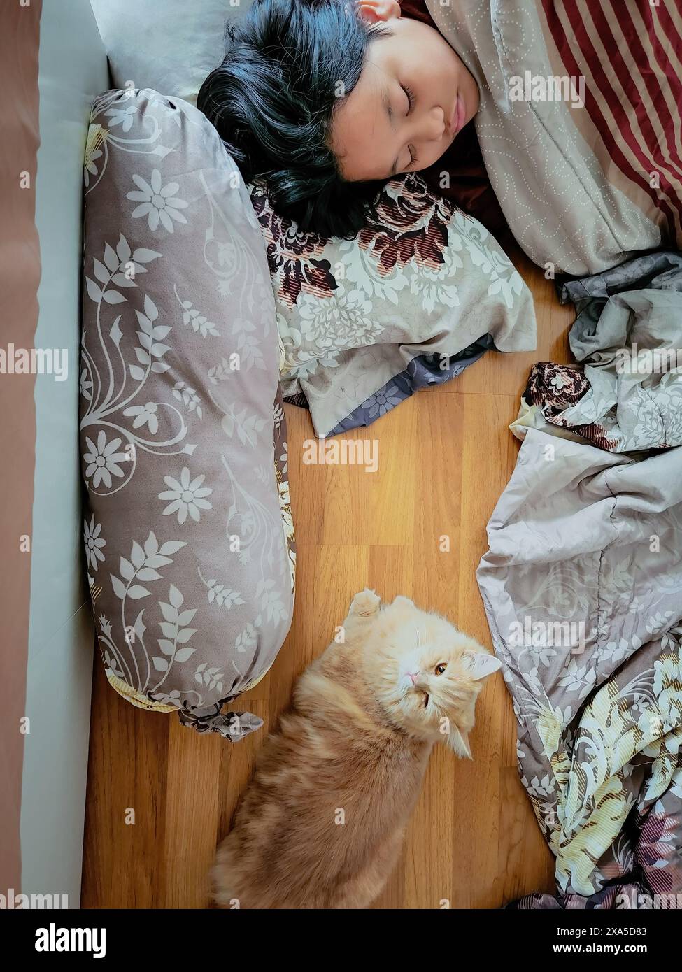 A young girl is sleeping on the floor, being companied by her fully ...