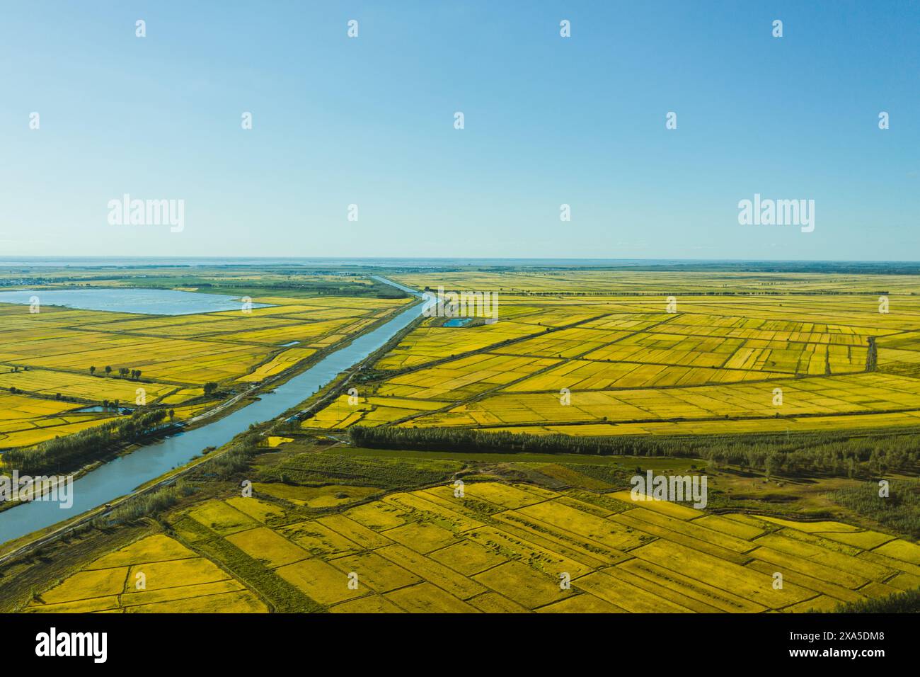 Aerial view of a rural field and canal in northern Ontario Stock Photo ...