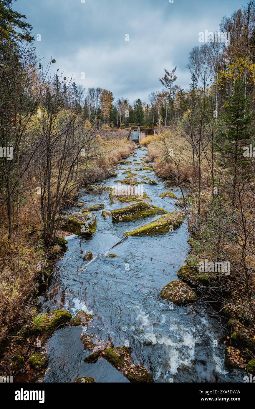 Serene creek flowing through hi-res stock photography and images - Alamy