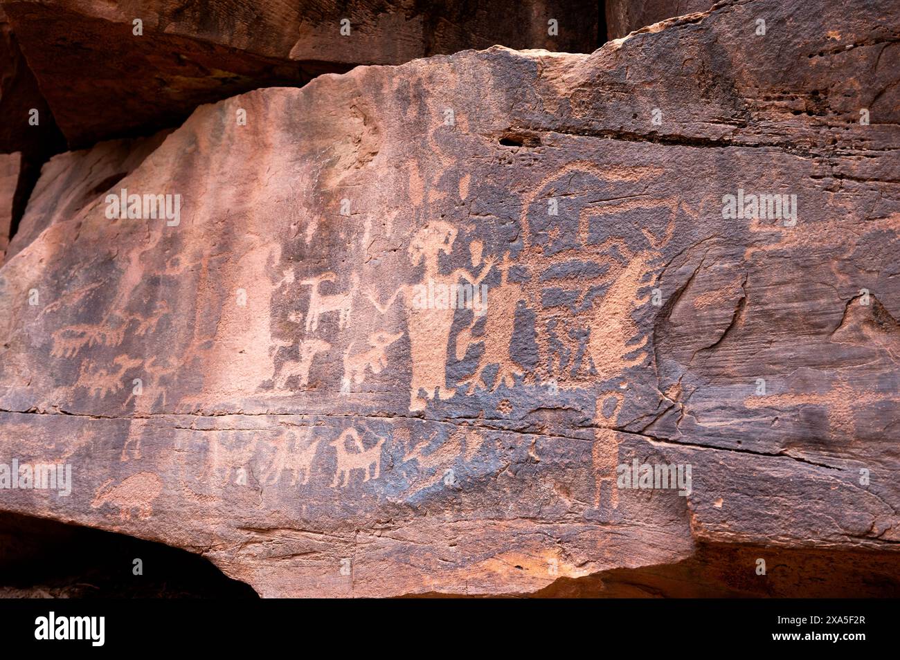 One of many examples of Petroglyphs in Nine Mile Canyon, Utah Stock ...