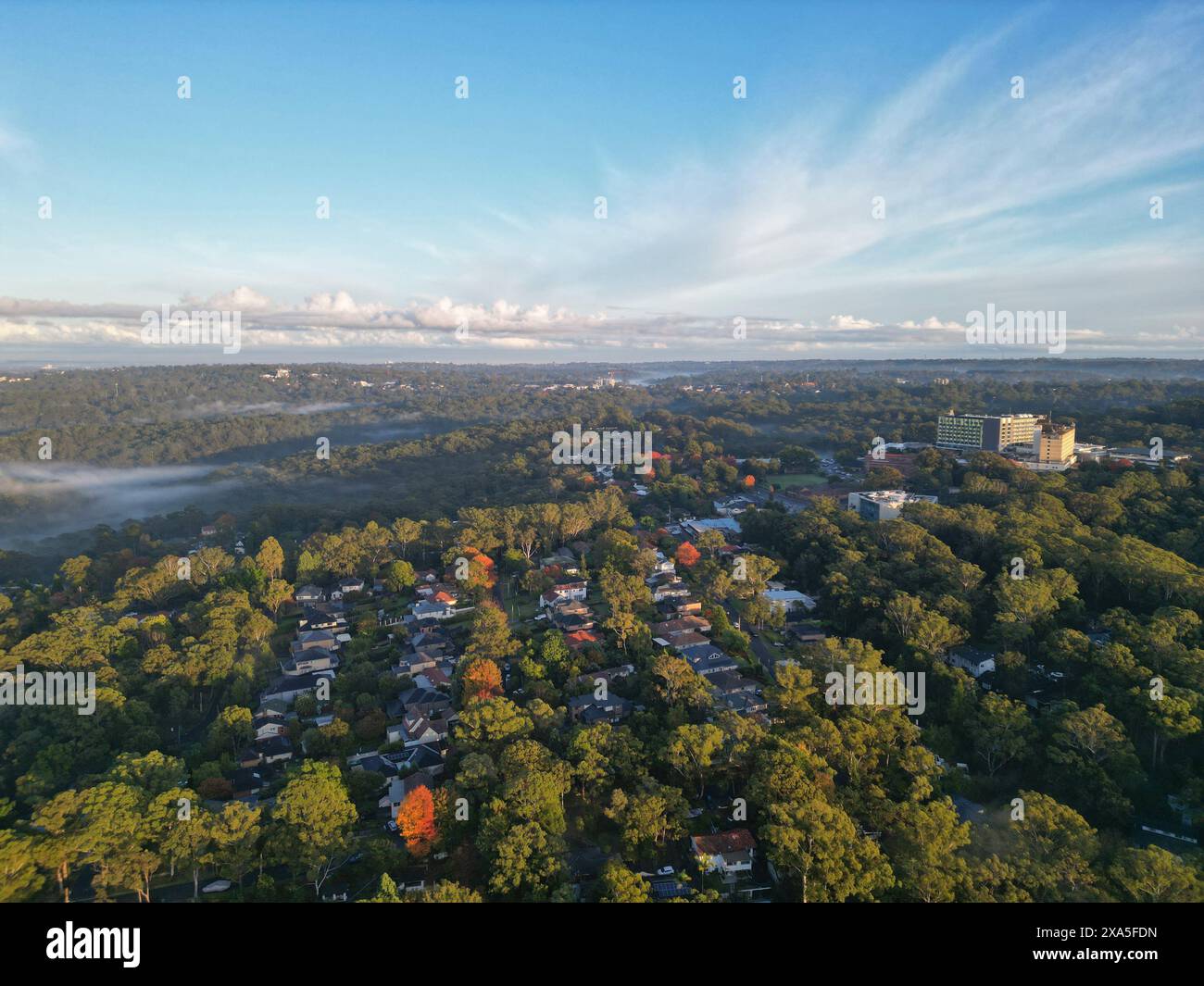 Flying fox australia flying trees hi-res stock photography and images ...