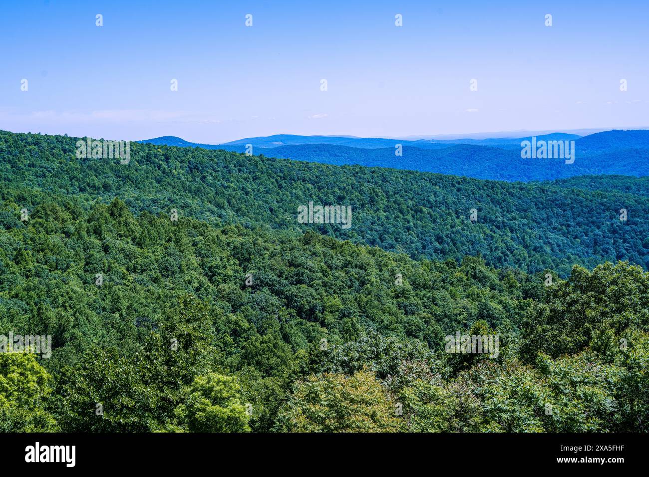 Skyline Drive, Virginia, USA — June 1, 2024. A photo overlooking the ...