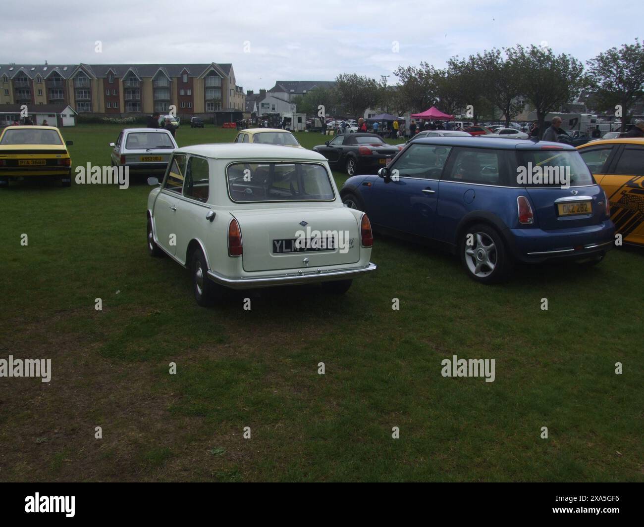 A vintage car exhibition at Donard Park, Newcastle 2024 Stock Photo - Alamy