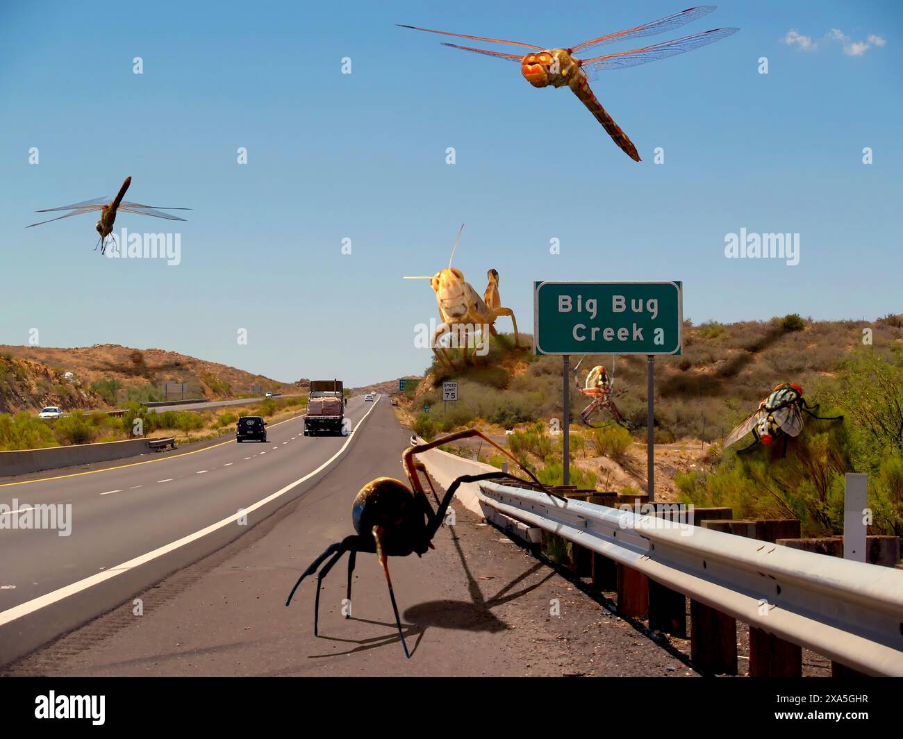 Surreal photo manipulation portraying giant insects and spiders on an ...