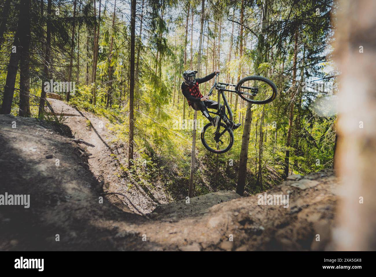 An incredible jump on a bicycle in the forest Stock Photo - Alamy