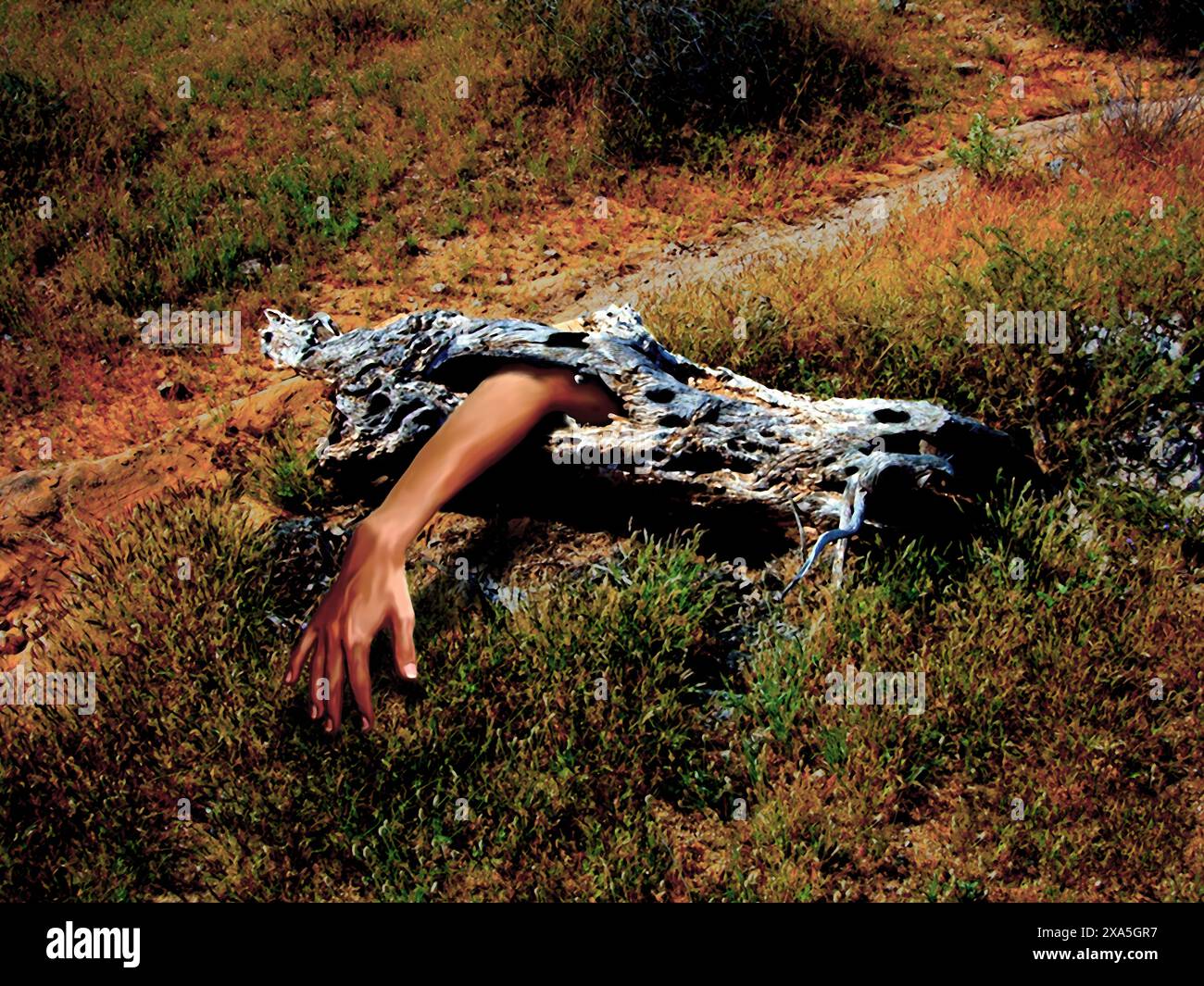 Originally created in 2005, a photo manipulation depicting an earthy ...