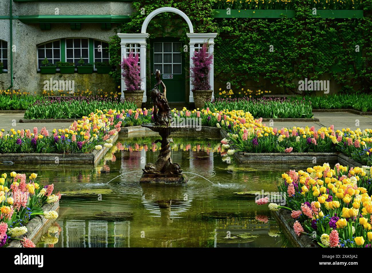 A serene courtyard garden featuring a fountain with flowers floating in ...