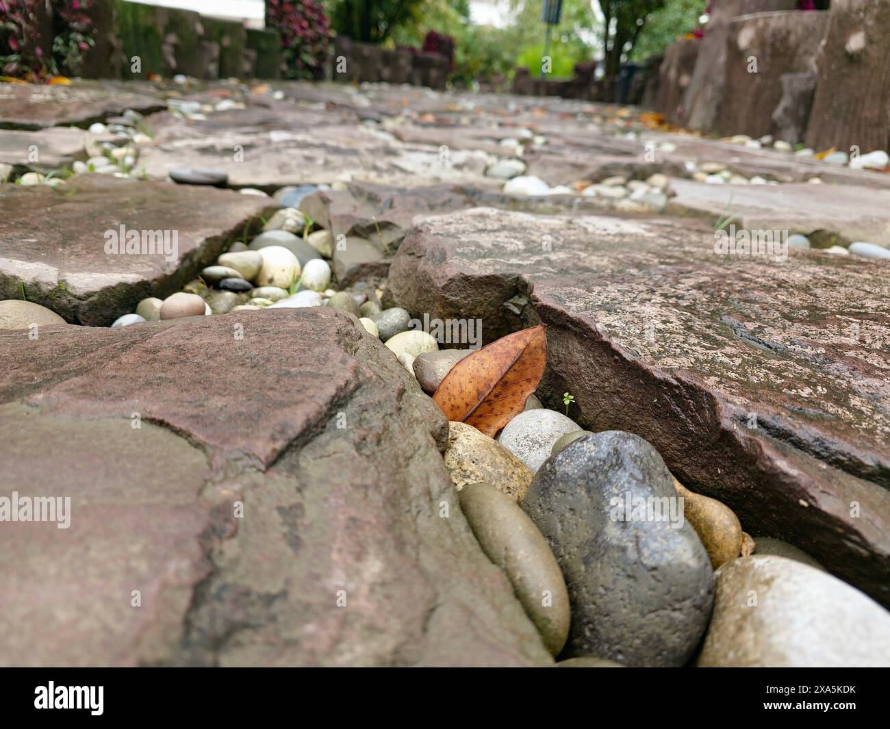 Small gravel garden hi-res stock photography and images - Alamy