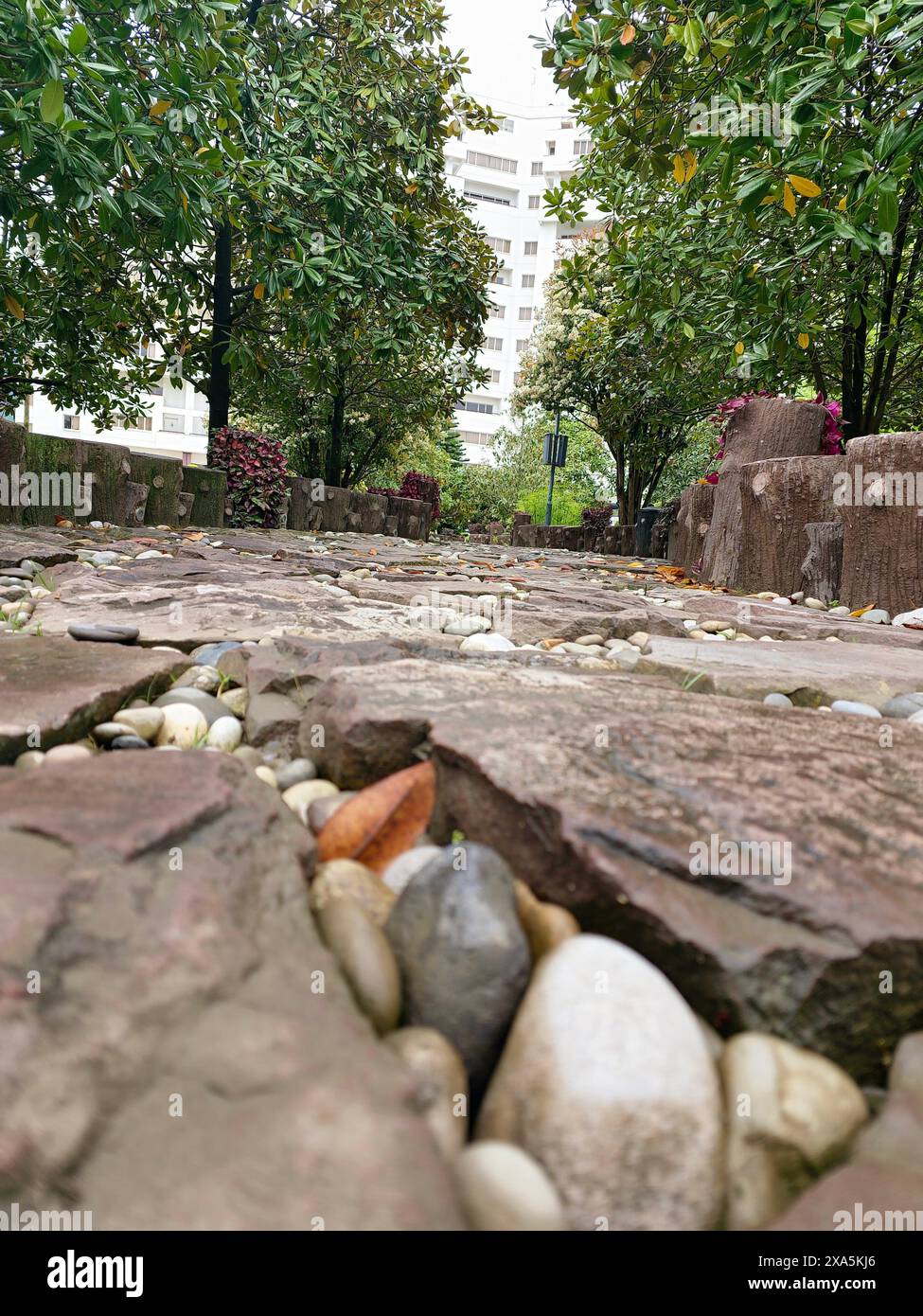 A heap of rocks amid foliage, shrubs, and trees Stock Photo - Alamy