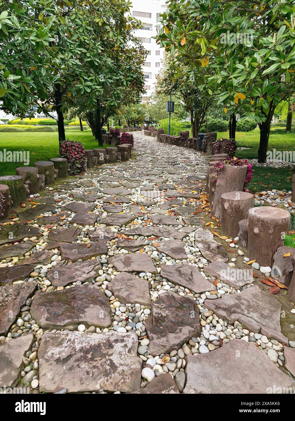 The stones aligned with plants and grass in parallel rows Stock Photo ...