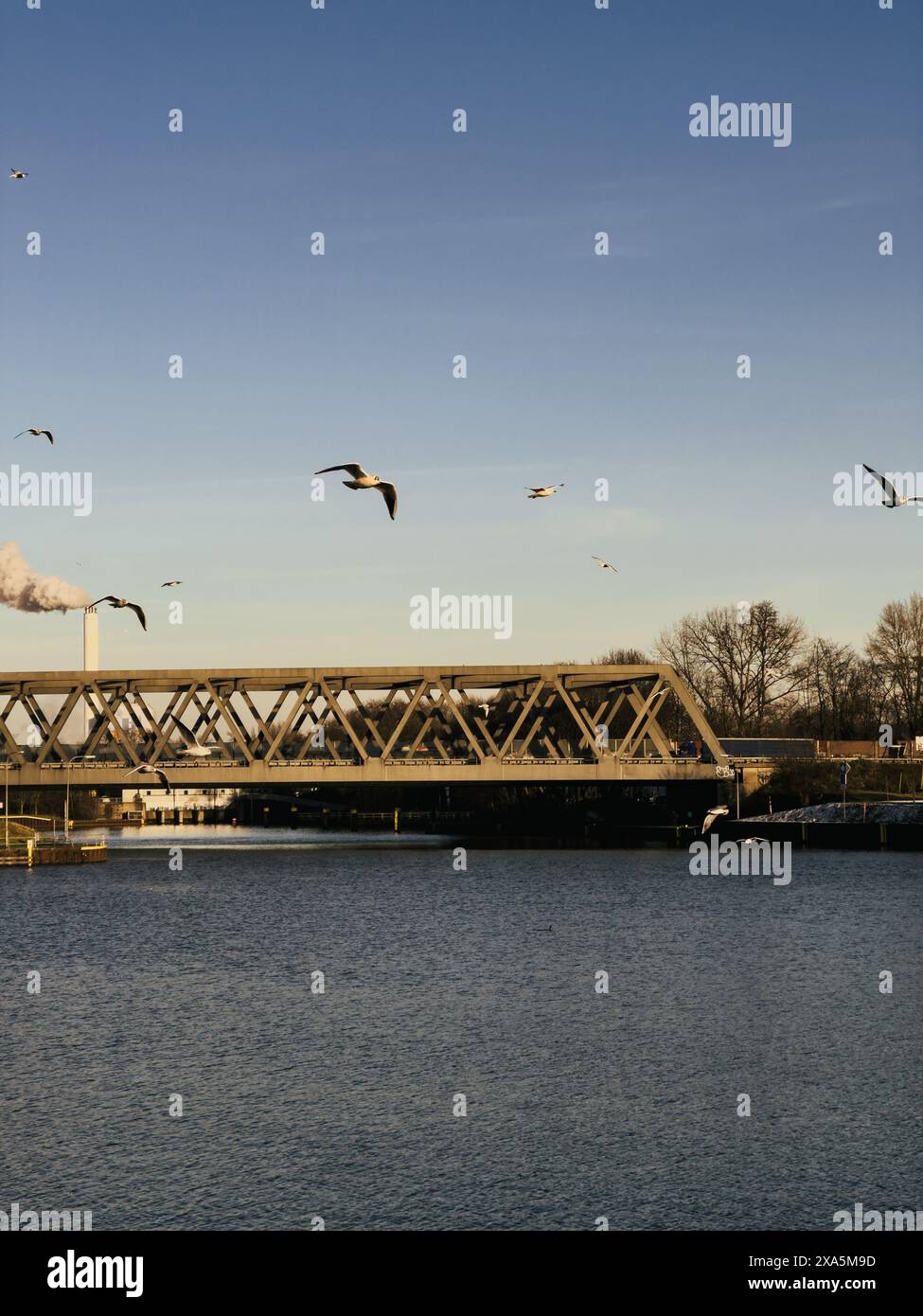 Birds flying over water hi-res stock photography and images - Alamy
