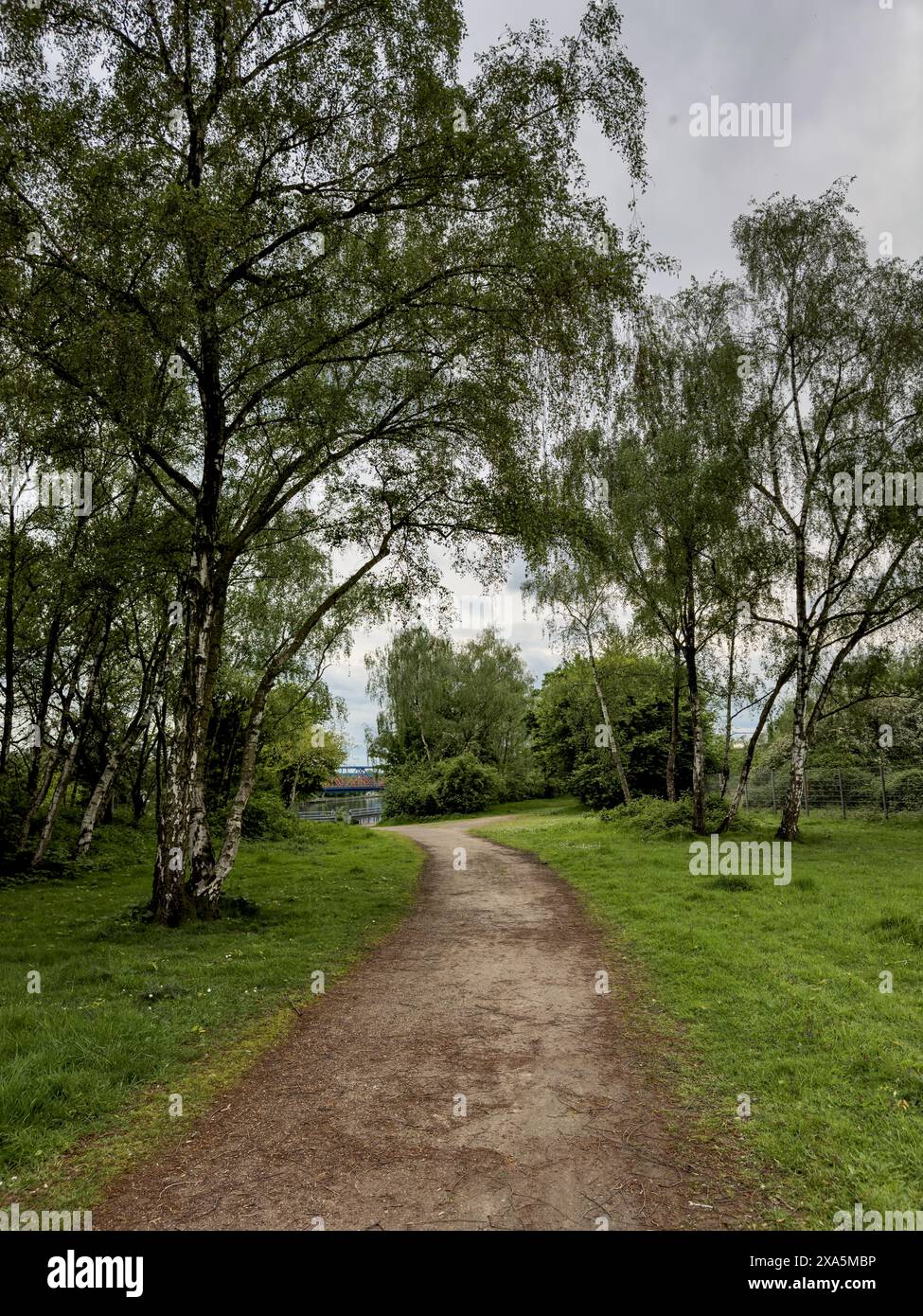 A meandering path through a tree-lined field Stock Photo - Alamy
