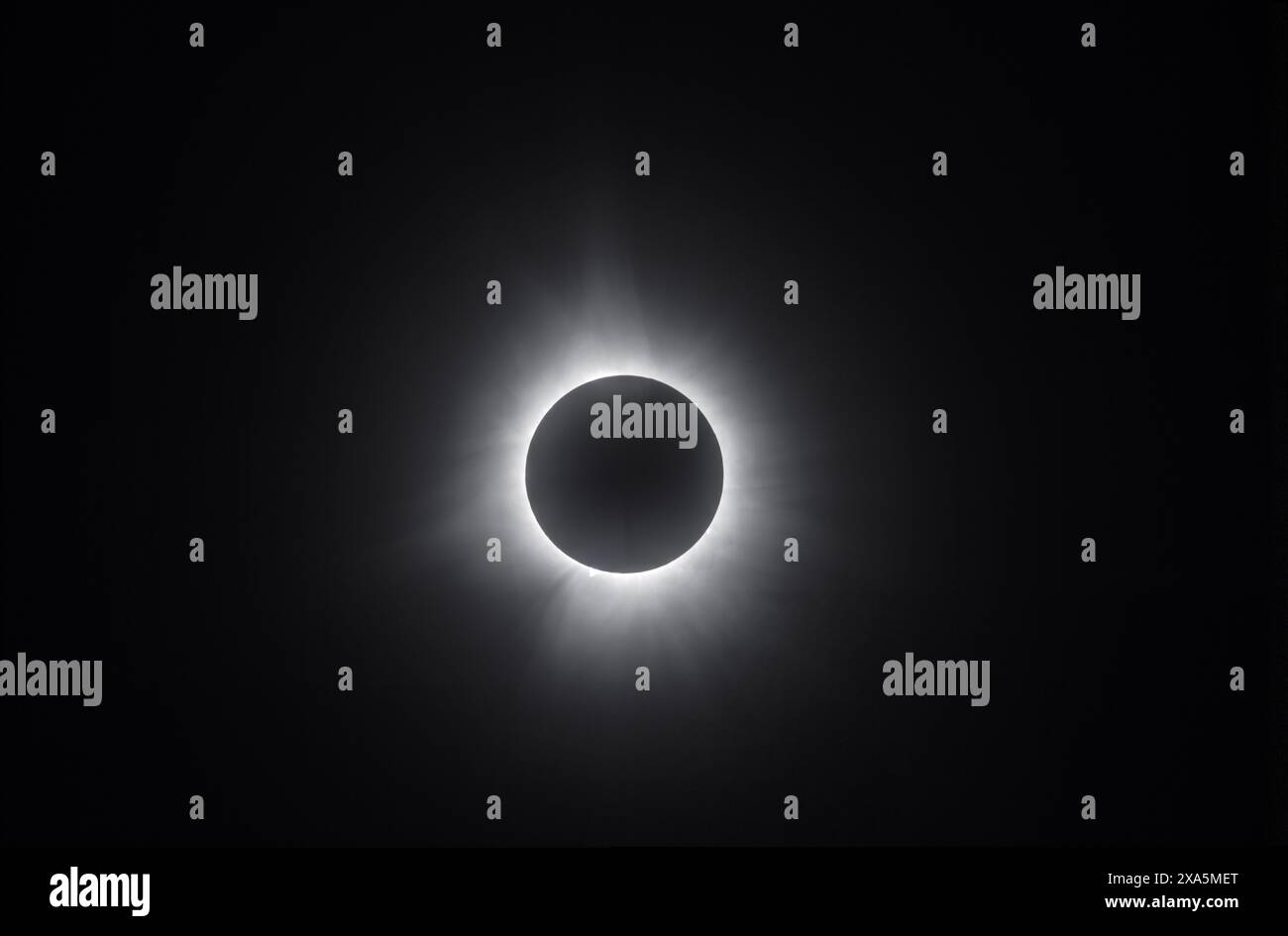 The corona of the sun from the 2024 great American total solar eclipse ...