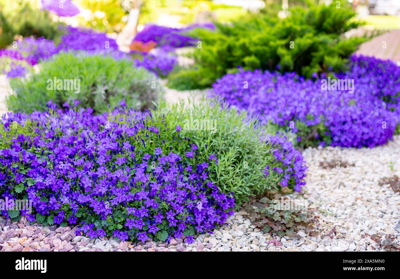 Beautiful rocky landscape vibrant greenery hi-res stock photography and ...