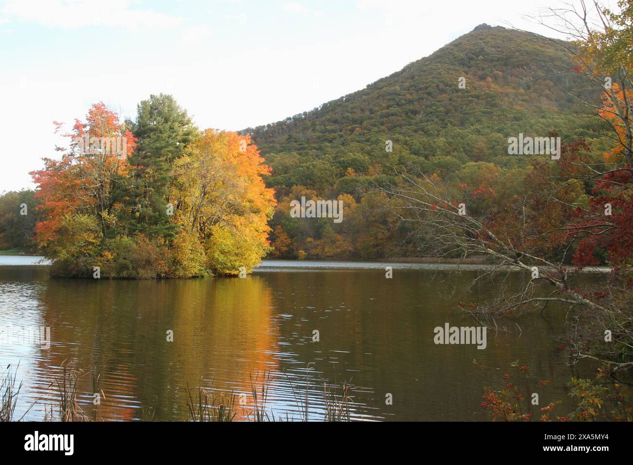 Blue Ridge Parkway, Virginia, USA. View of Abbott Lake and Sharp Top in ...