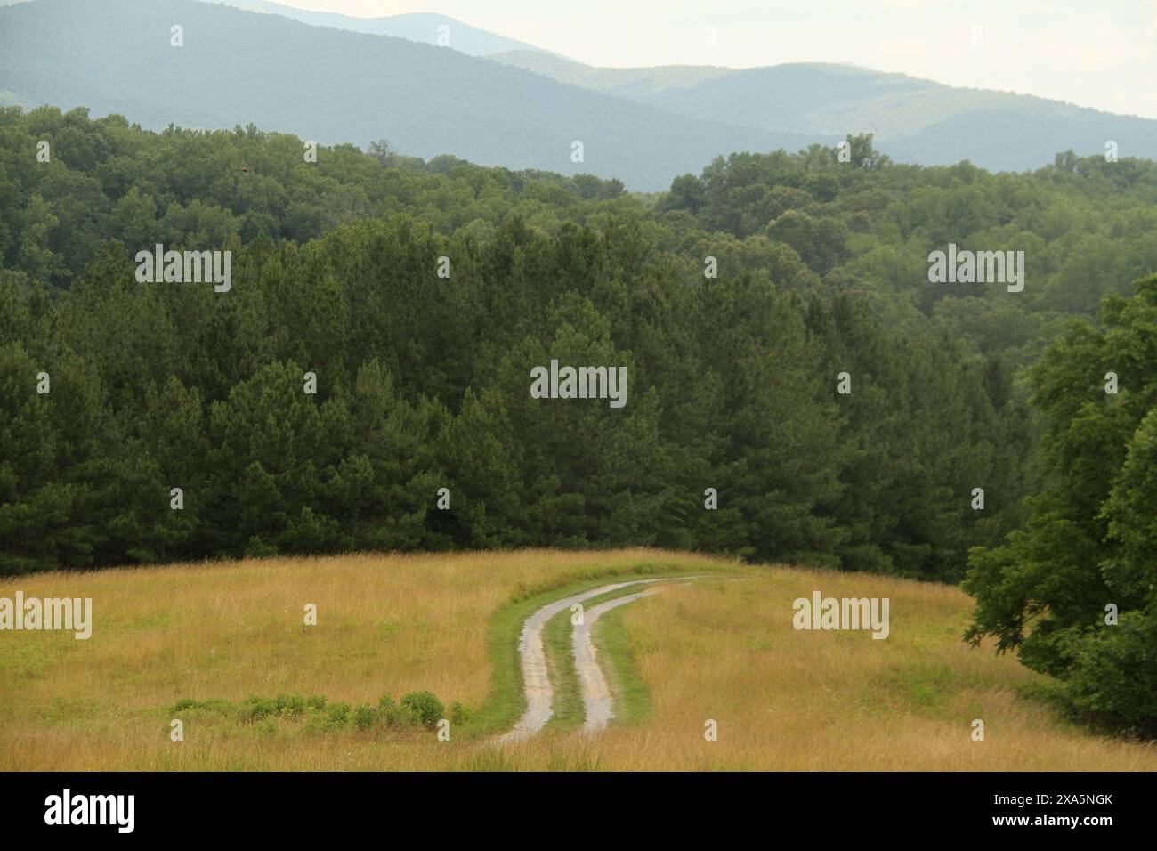 Bedford, VA, U.S.A. Landscape at Claytor Nature Center, with a gravel ...