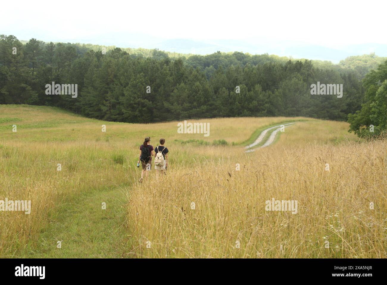Bedford, VA, U.S.A. People hiking on a trail through grass fields at ...