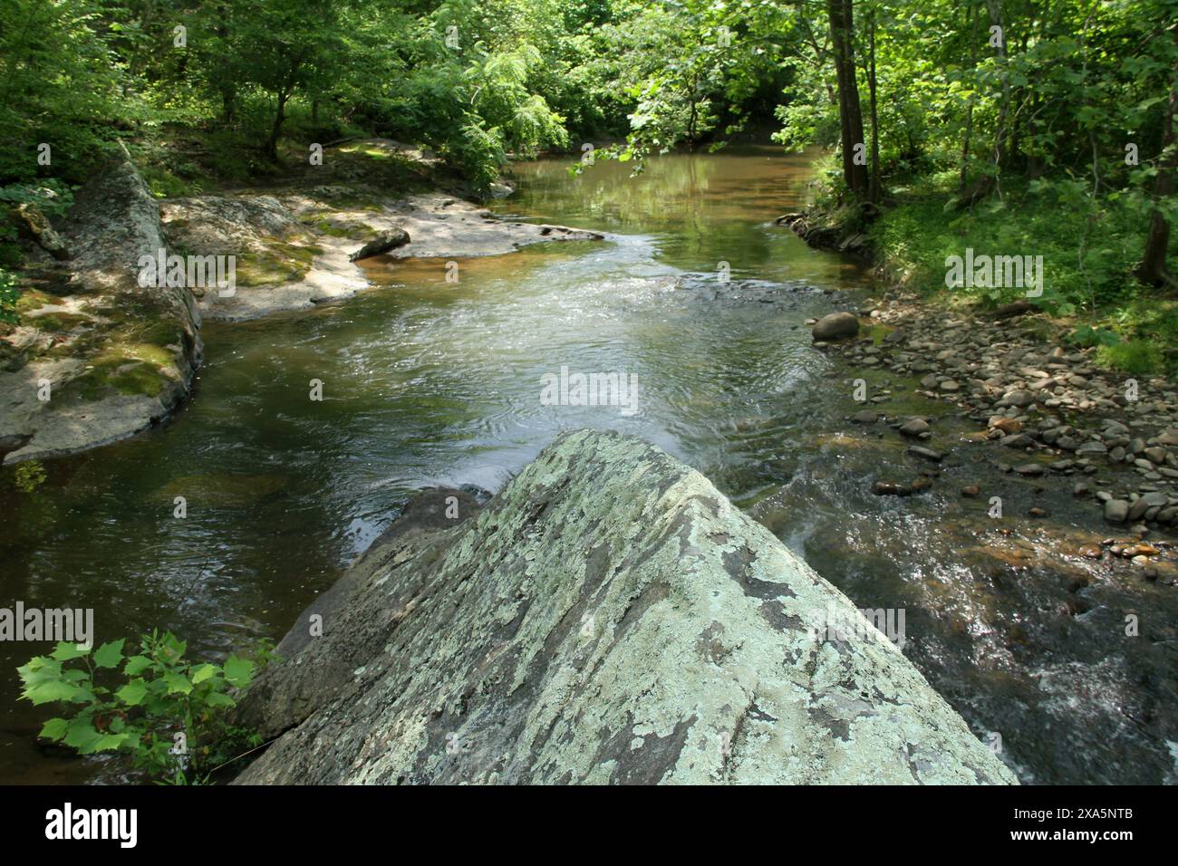 Bedford, VA, U.S.A. View of the Big Otter River at Claytor Nature ...
