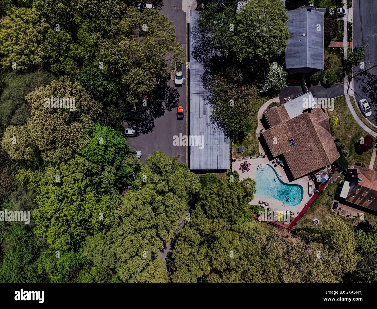 An aerial top view of houses, cars, and trees in a residential area ...
