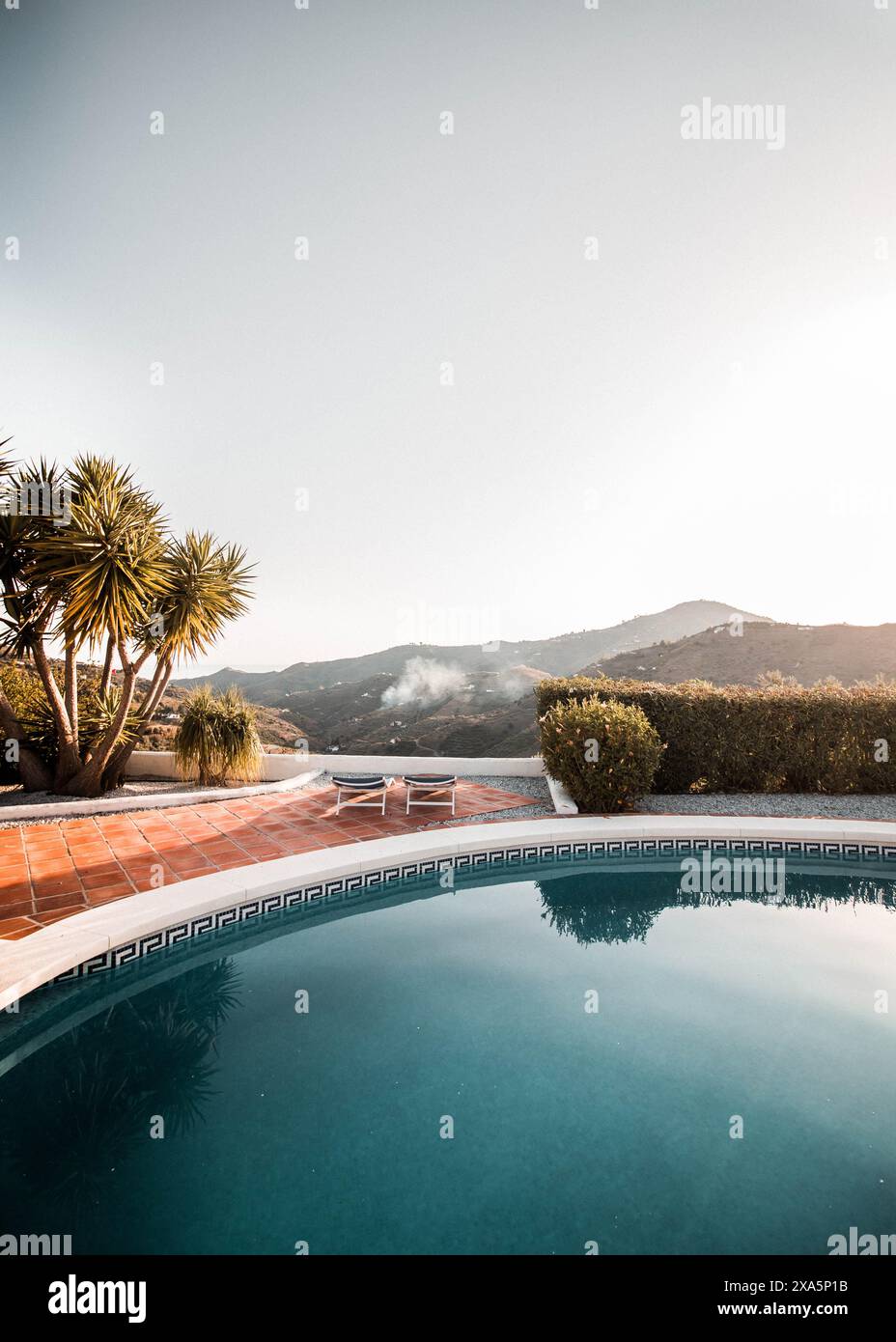 A scenic pool with palm trees in the background Stock Photo - Alamy