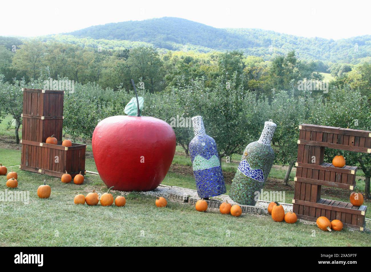 LOVE work at Johnson's Orchard (Peaks of Otter Winery) in Virginia, USA ...