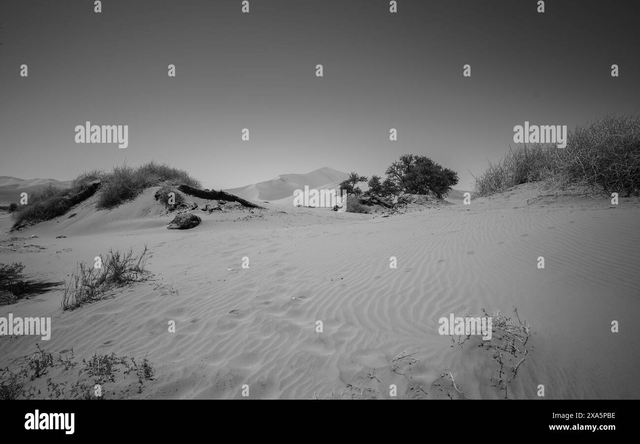 A black & white shot of a sandy desert landscape in Namibia Stock Photo ...