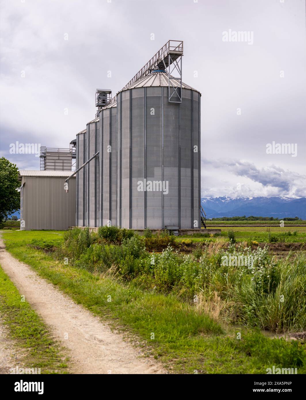 Quinto Vercellese, Piedmont, Italy - May 31, 2024: Steel silos for ...