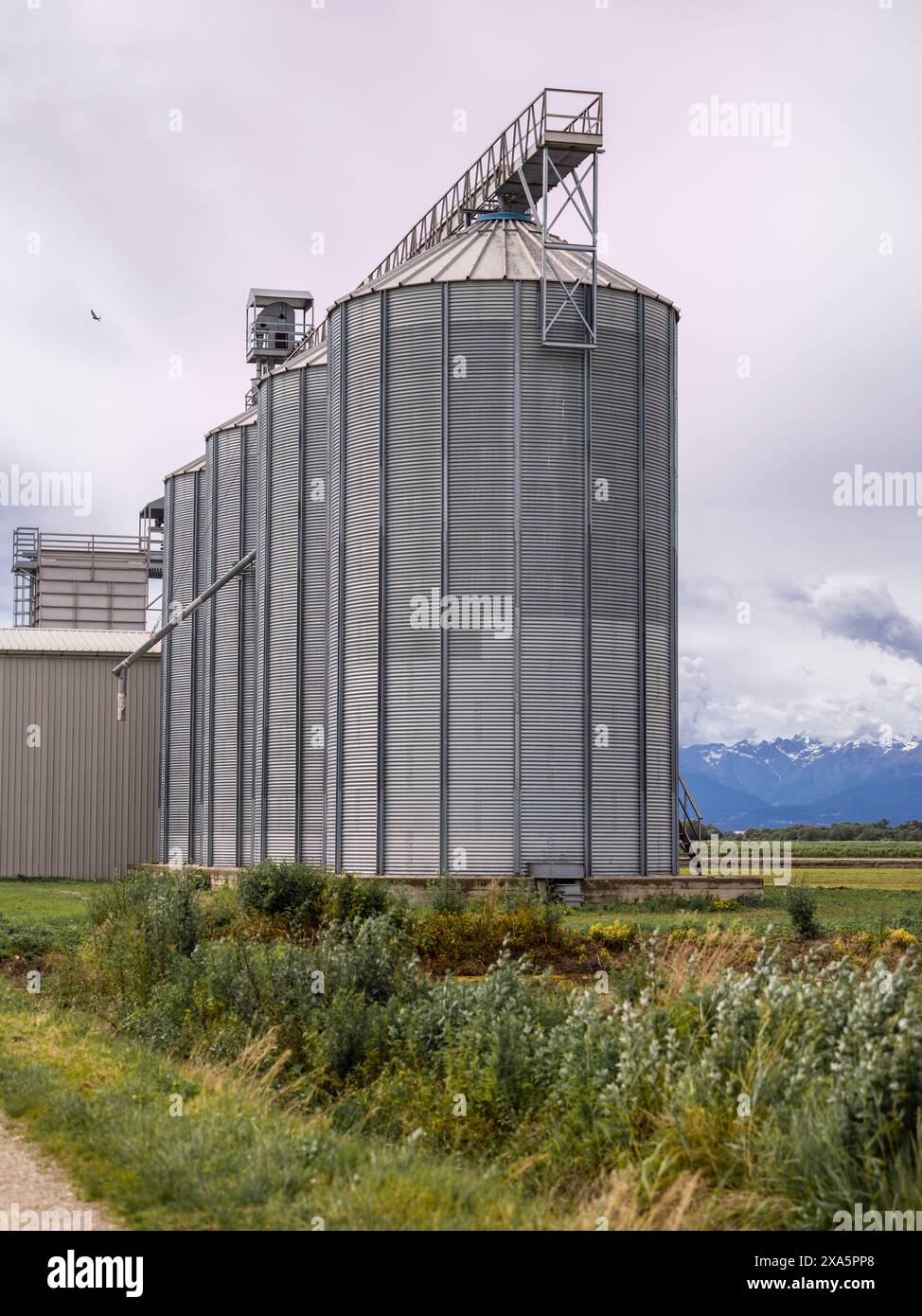 Quinto Vercellese, Piedmont, Italy - May 31, 2024: Steel silos for ...