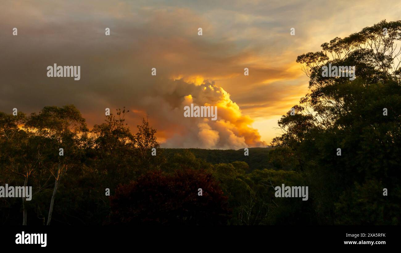 Drone aerial photograph of controlled bush fire hazard reduction ...