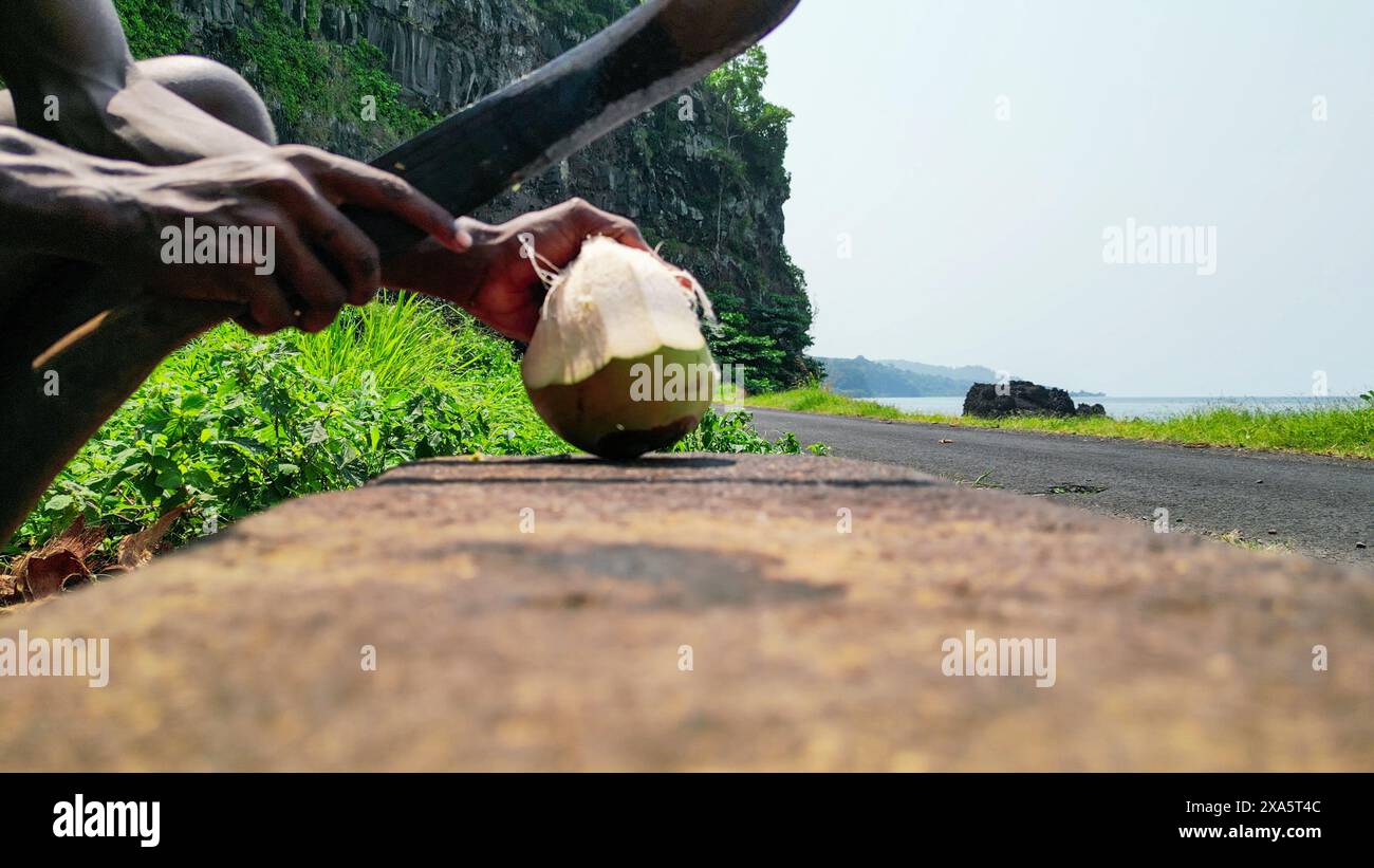 A person getting ready to open a coconut while sitting on a roadside ...