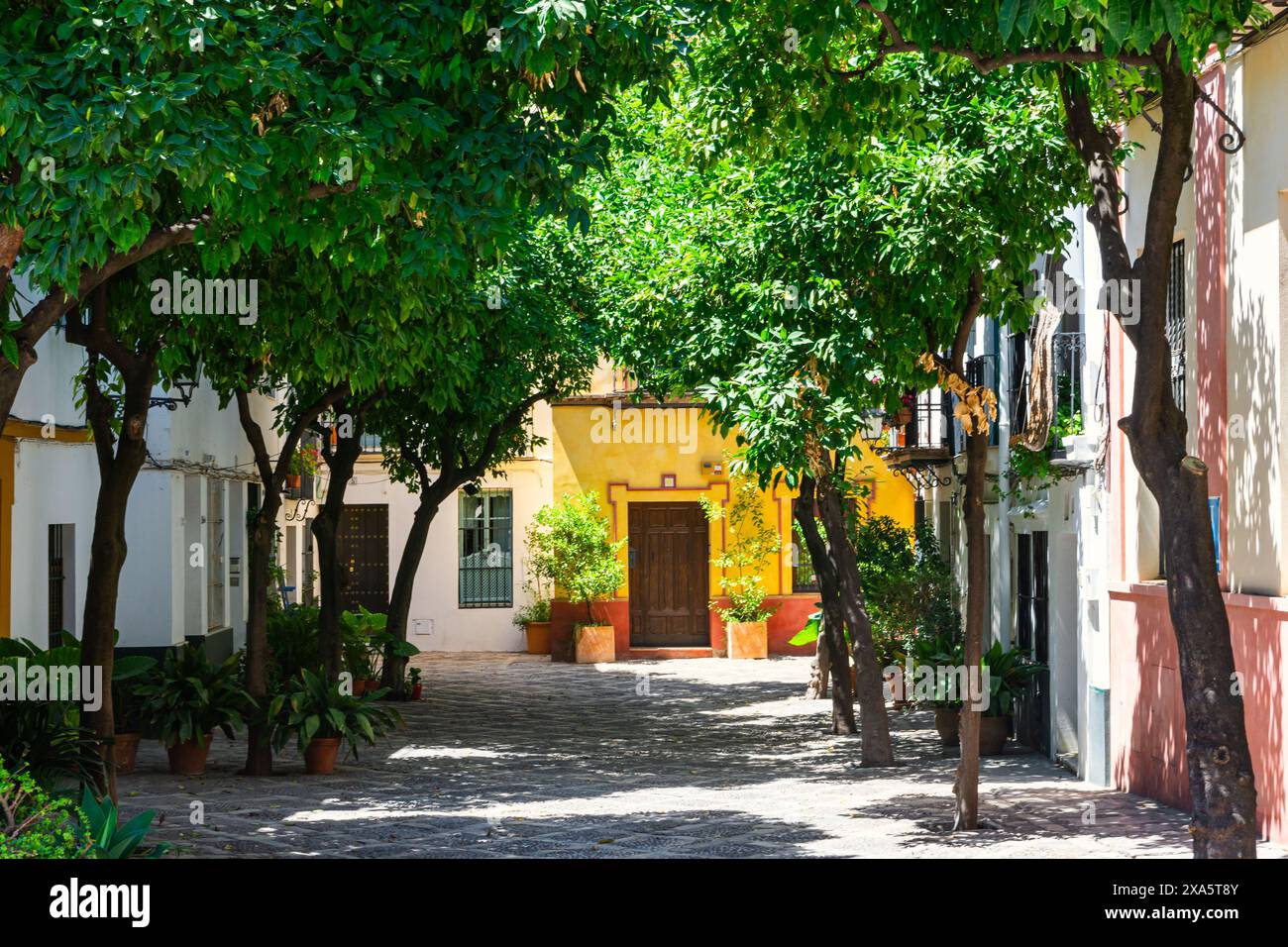 A scenic path lined with greenery weaves through small town buildings ...