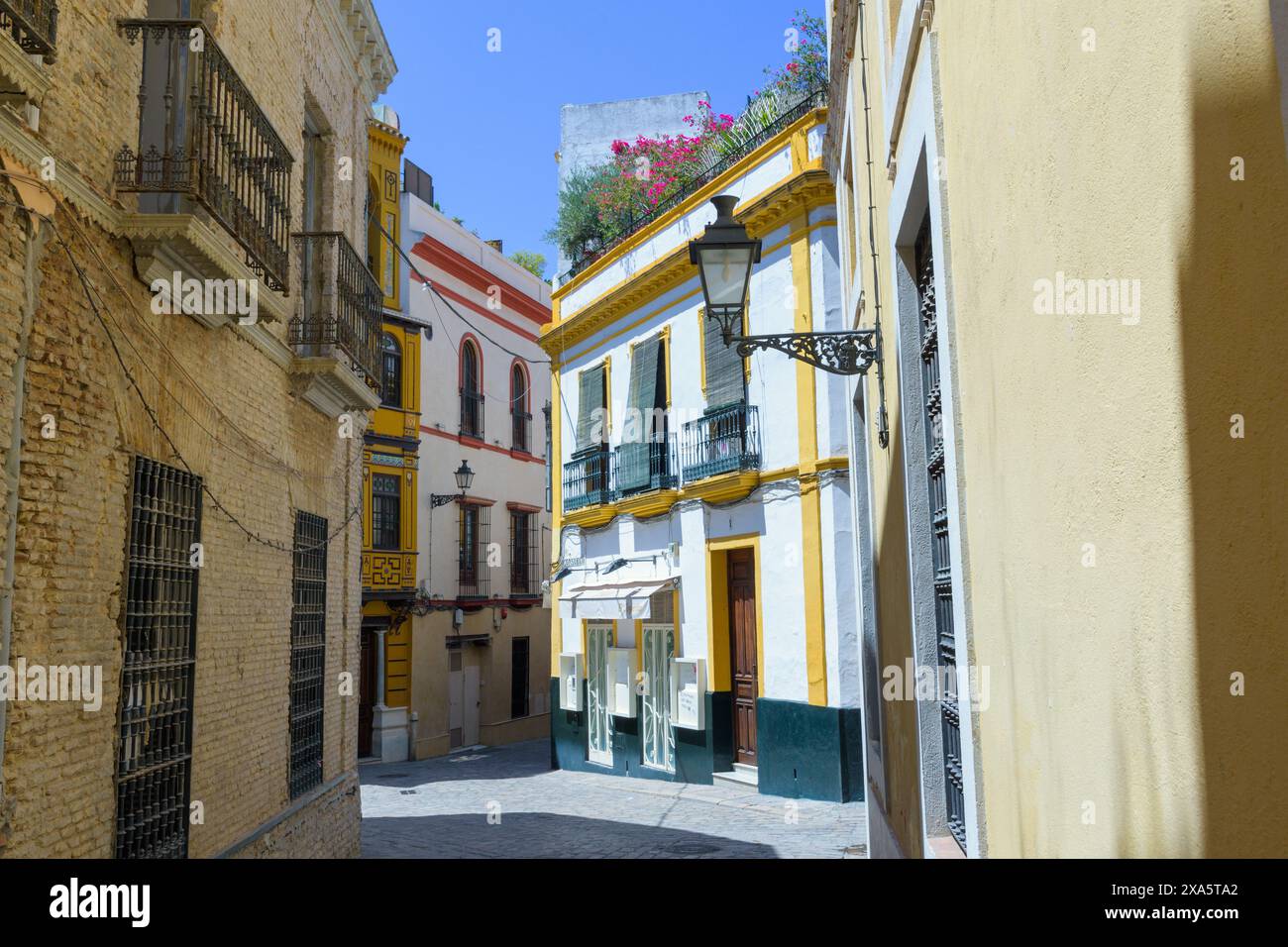 Urban street scene with pedestrians walking and buildings on the other ...