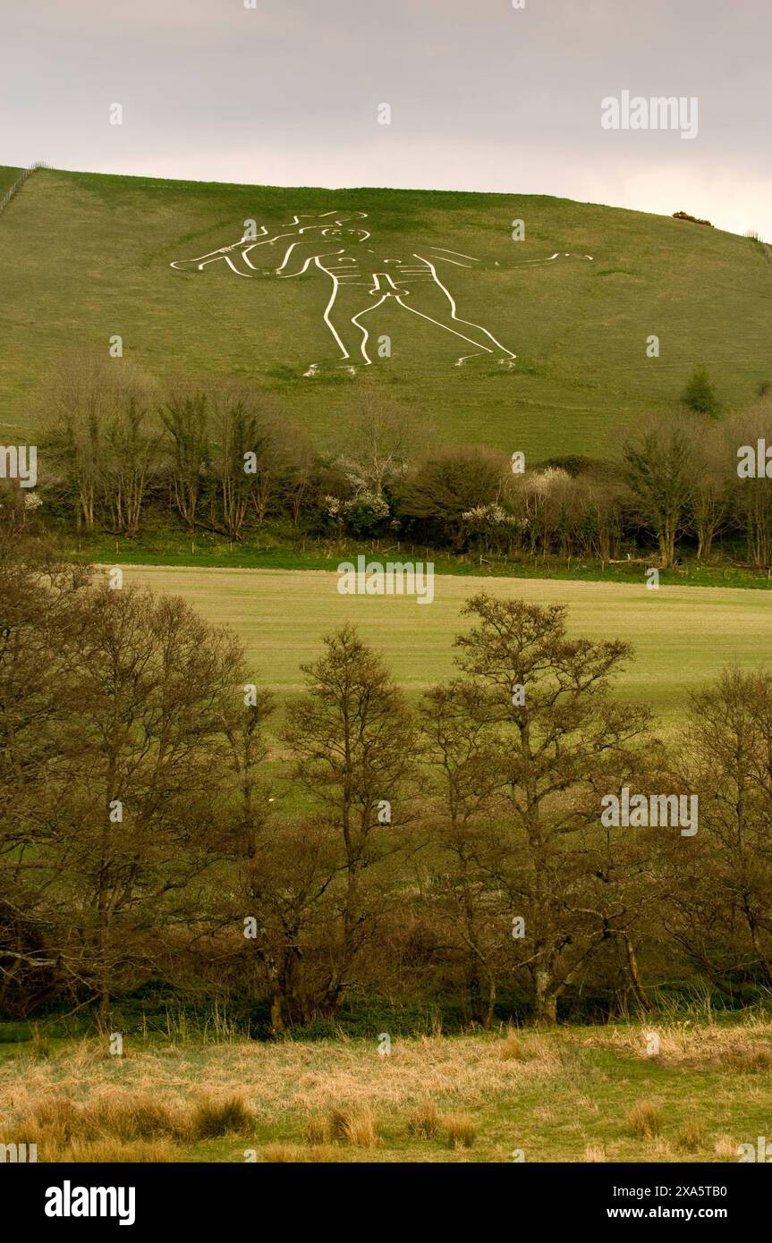 The Cerne Abbas giant carved in a hillside in Somerset, England. 12/4 ...
