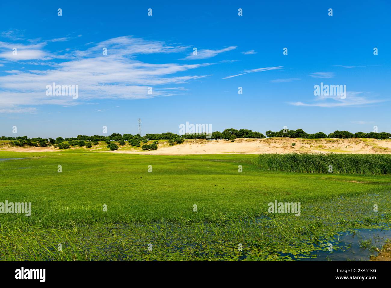 Saturated fauna hi-res stock photography and images - Alamy