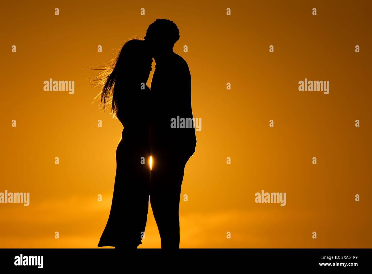 A couple is kissing in the sun, with the sun shining on them Stock ...