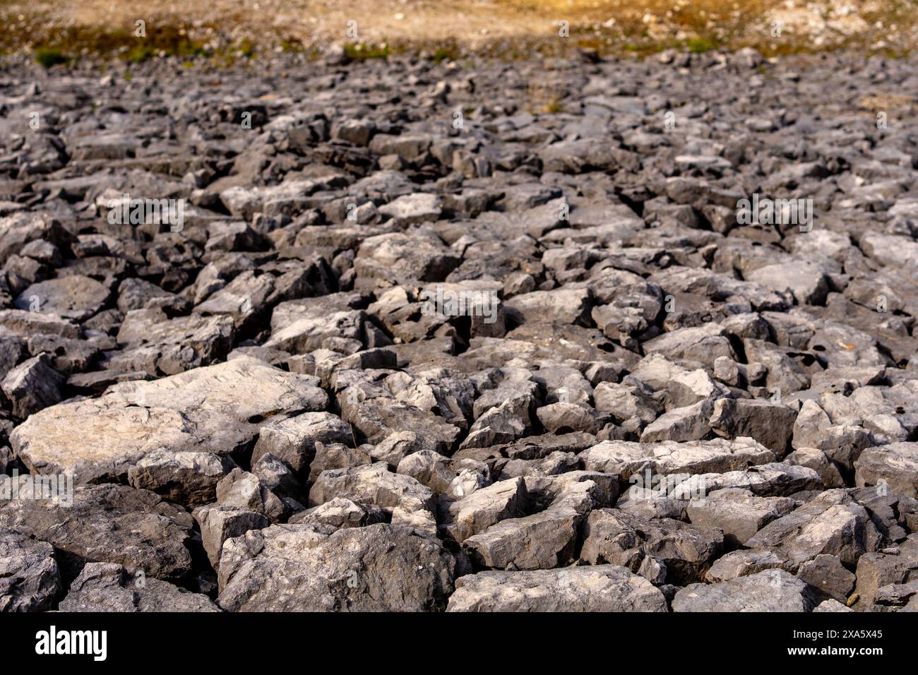 Rocks scattered by grassy terrain Stock Photo - Alamy