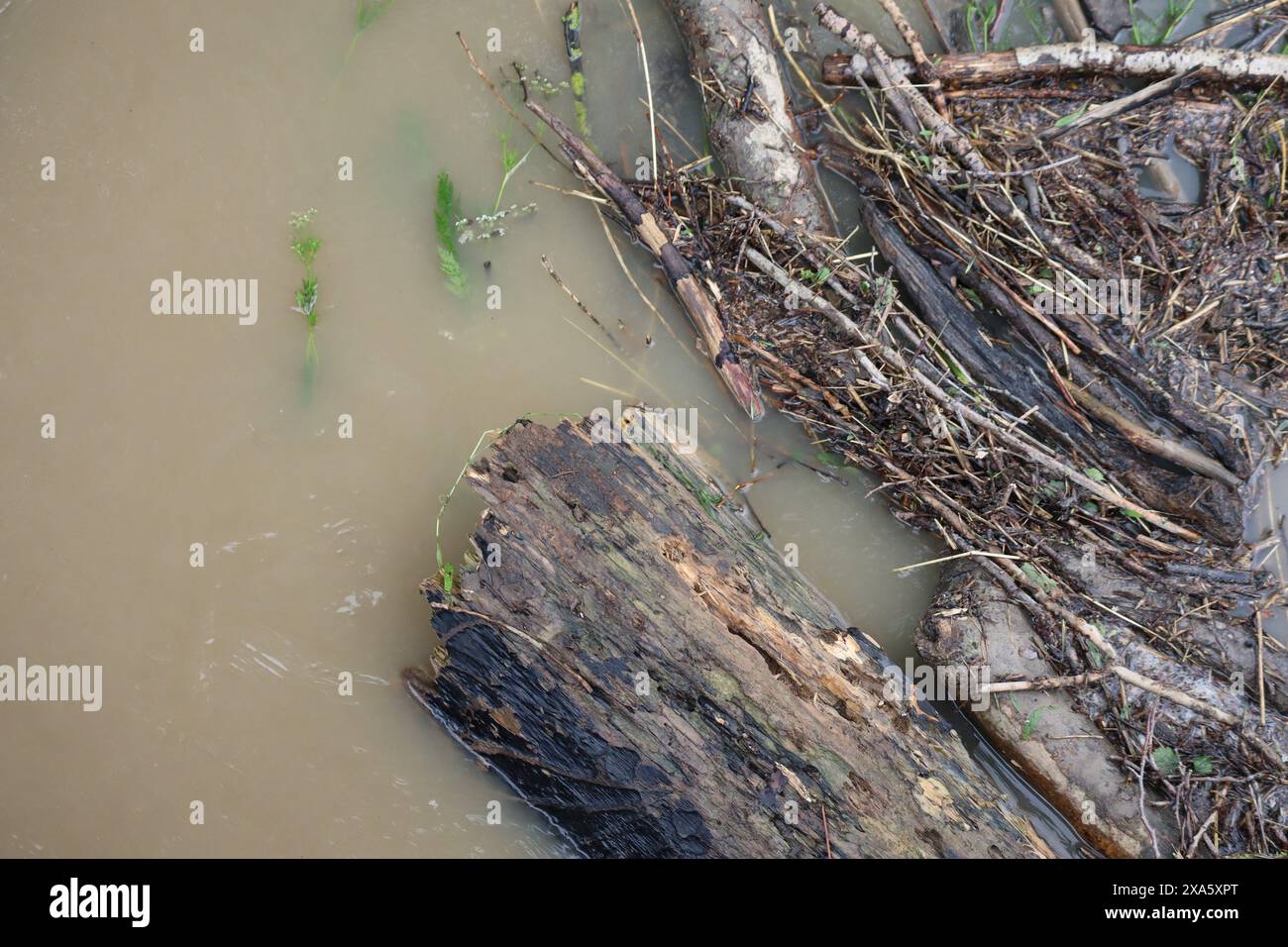 sharp-edged Flood debris makes its Way Stock Photo - Alamy