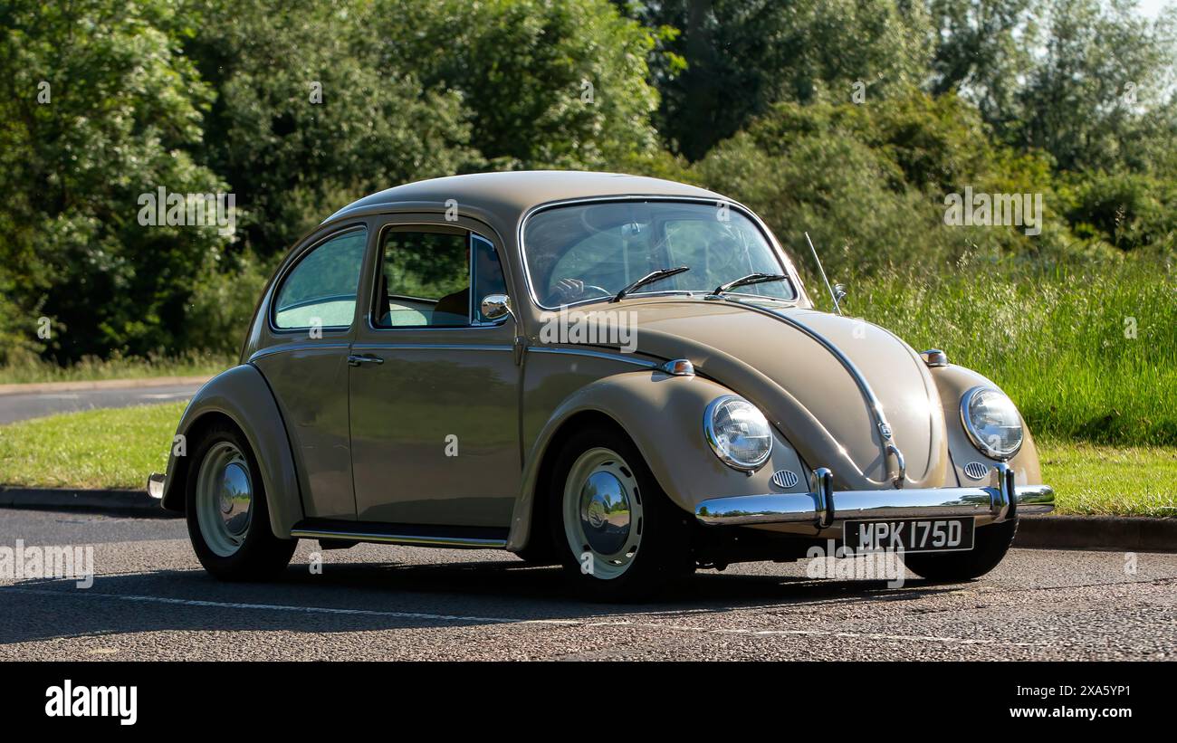 Stony Stratford,UK - June 2nd 2024: 1966 beige Volkswagen Beetle classic car driving on a ...