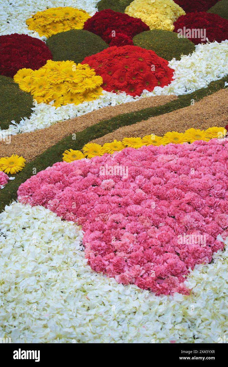 Capture of a floral carpet on the street, typical of festivals and ...