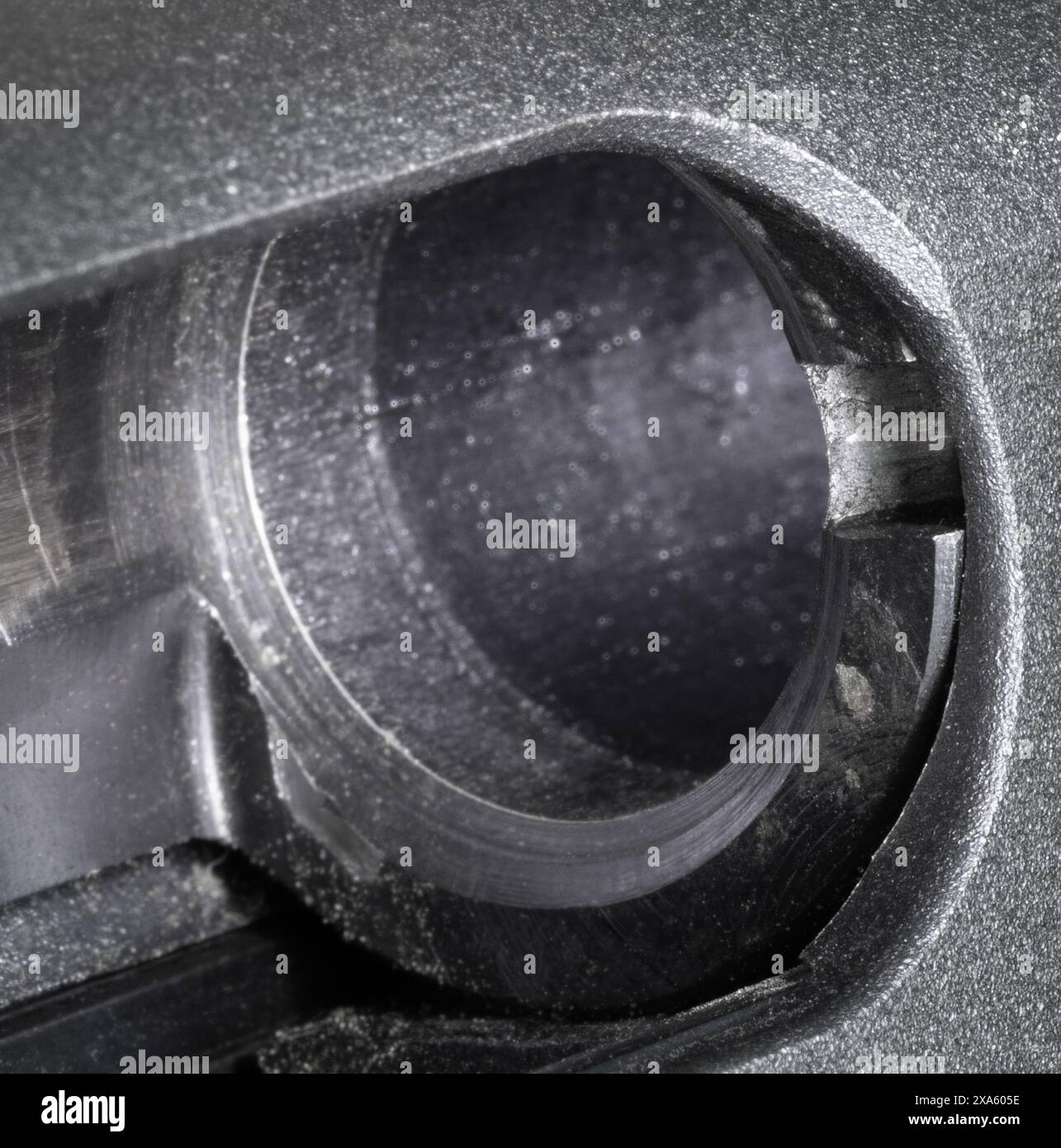 Chamber in a 12-gauge shotgun opens to show it has no shotshells ...