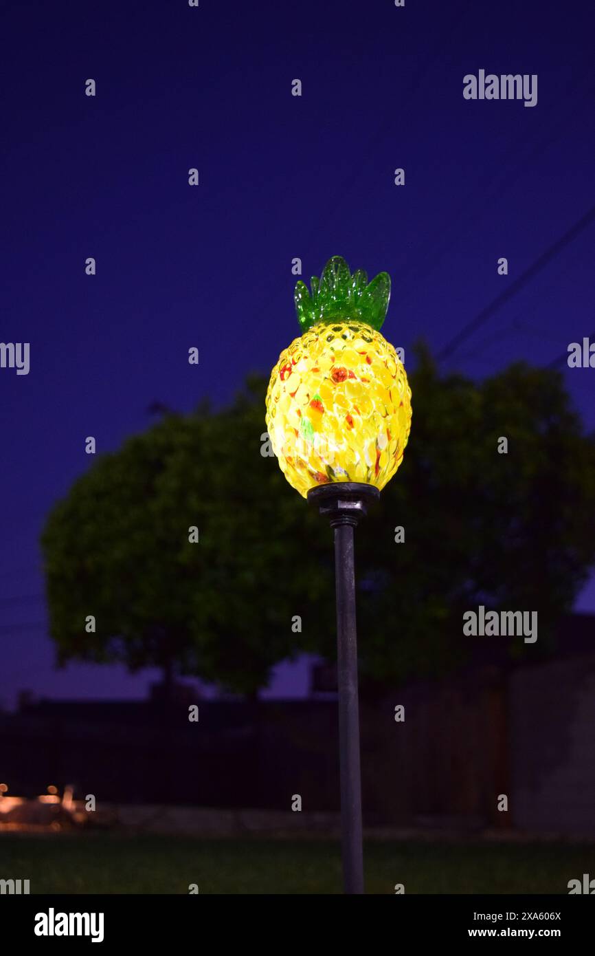 A charming solar light in pineapple shape shining in a yard against a ...