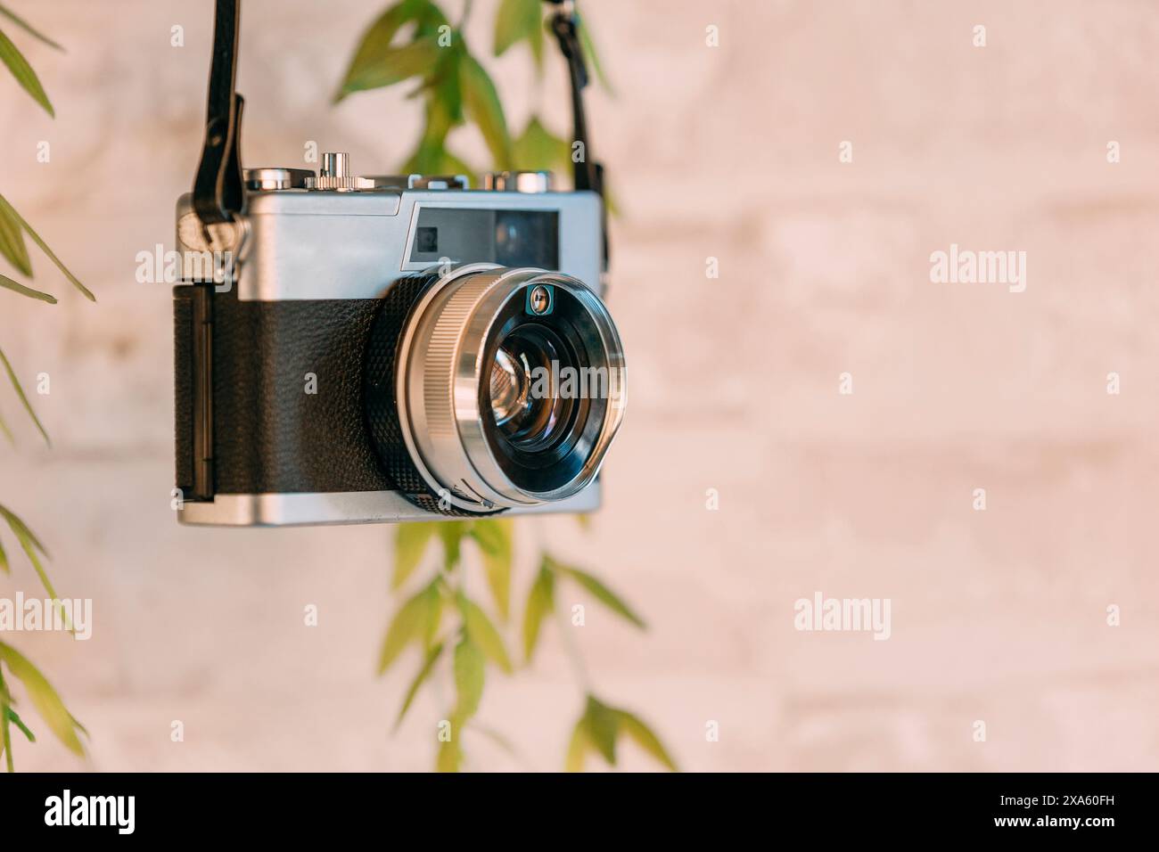 A vintage camera hanging from a potted plant against a wall, AI ...